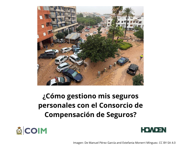DANA > ¿Cómo gestiono mis seguros personales con el Consorcio de ...